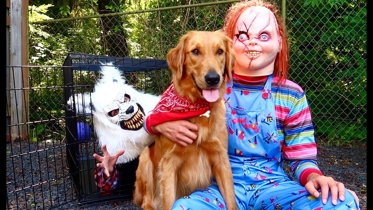Chucky Saves Puppy From Wolf! - YouTube