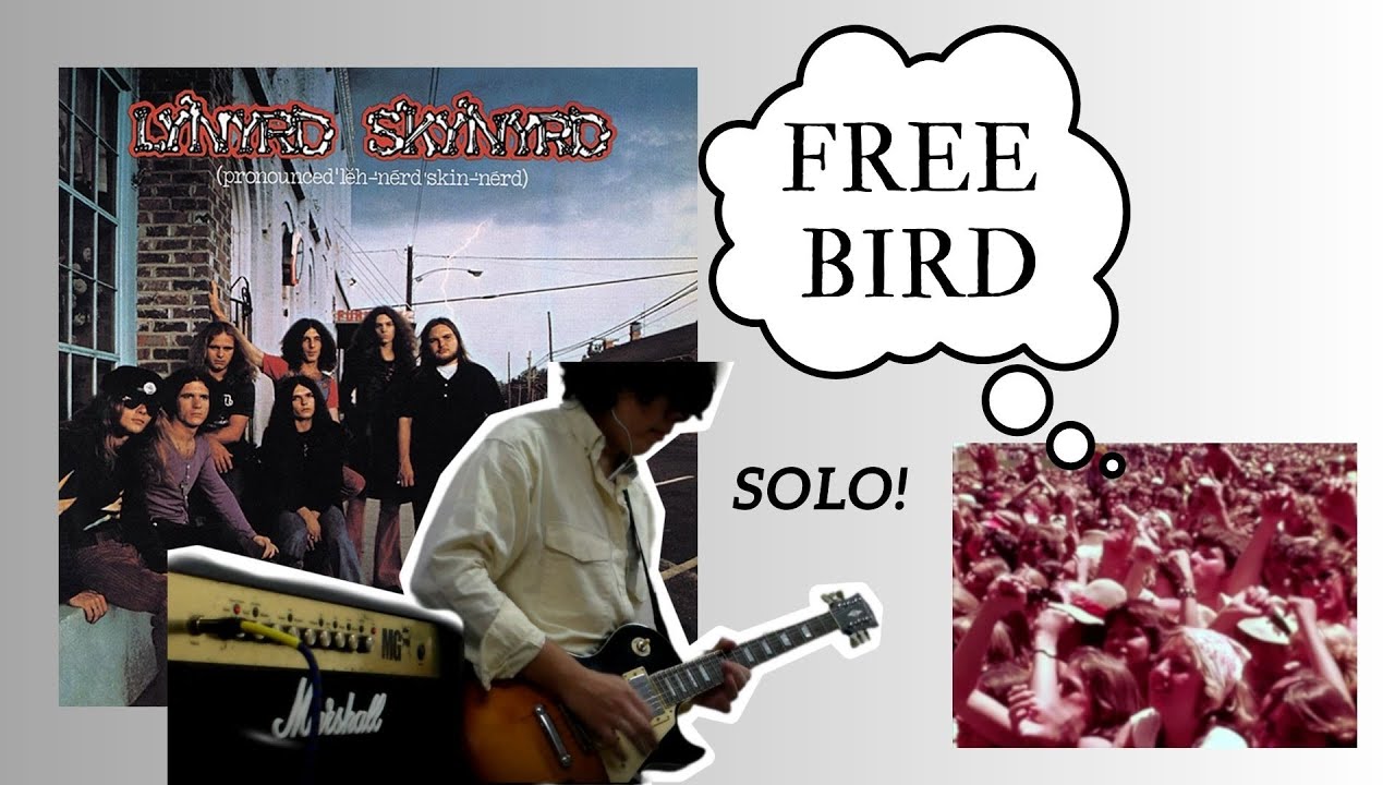 Free Bird - Lynyrd Skynyrd (Guitar Solo Cover) - YouTube