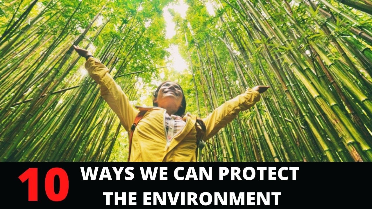Top 10 Ways You can Protect the Environment - How to save environment ...