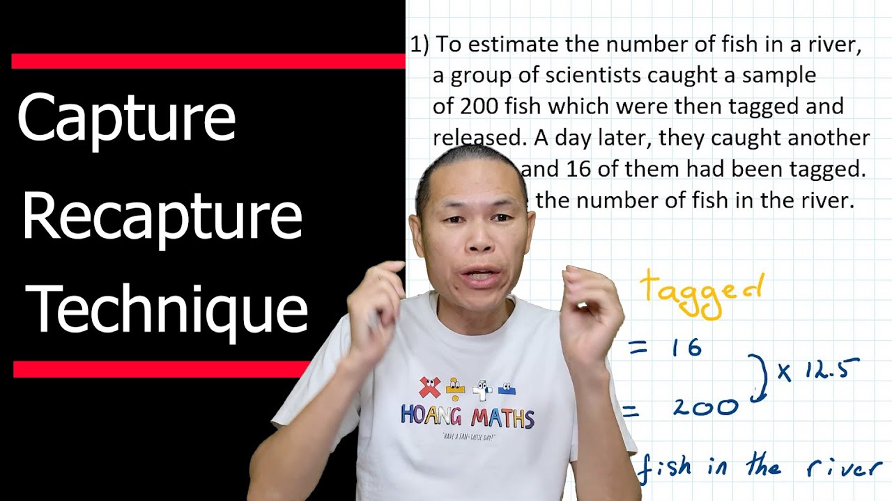 Capture Recapture Technique: (1 of 2) - YouTube