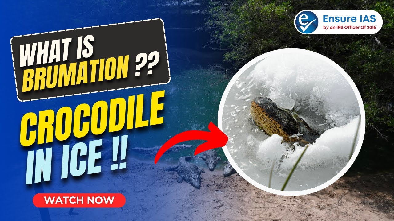 What is Brumation ? | Brumation vs Hibernation : What's the Difference ...