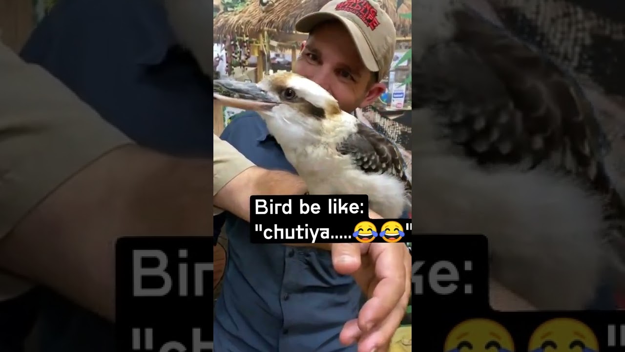 kaha se laye isko😂| meme#1 - YouTube