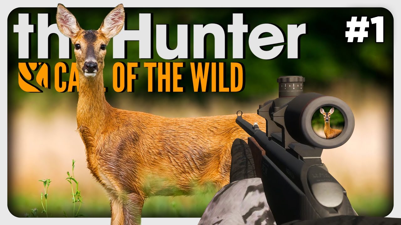 My First Adventure in the Wild, HUNTING the DEER (Part 1) - YouTube