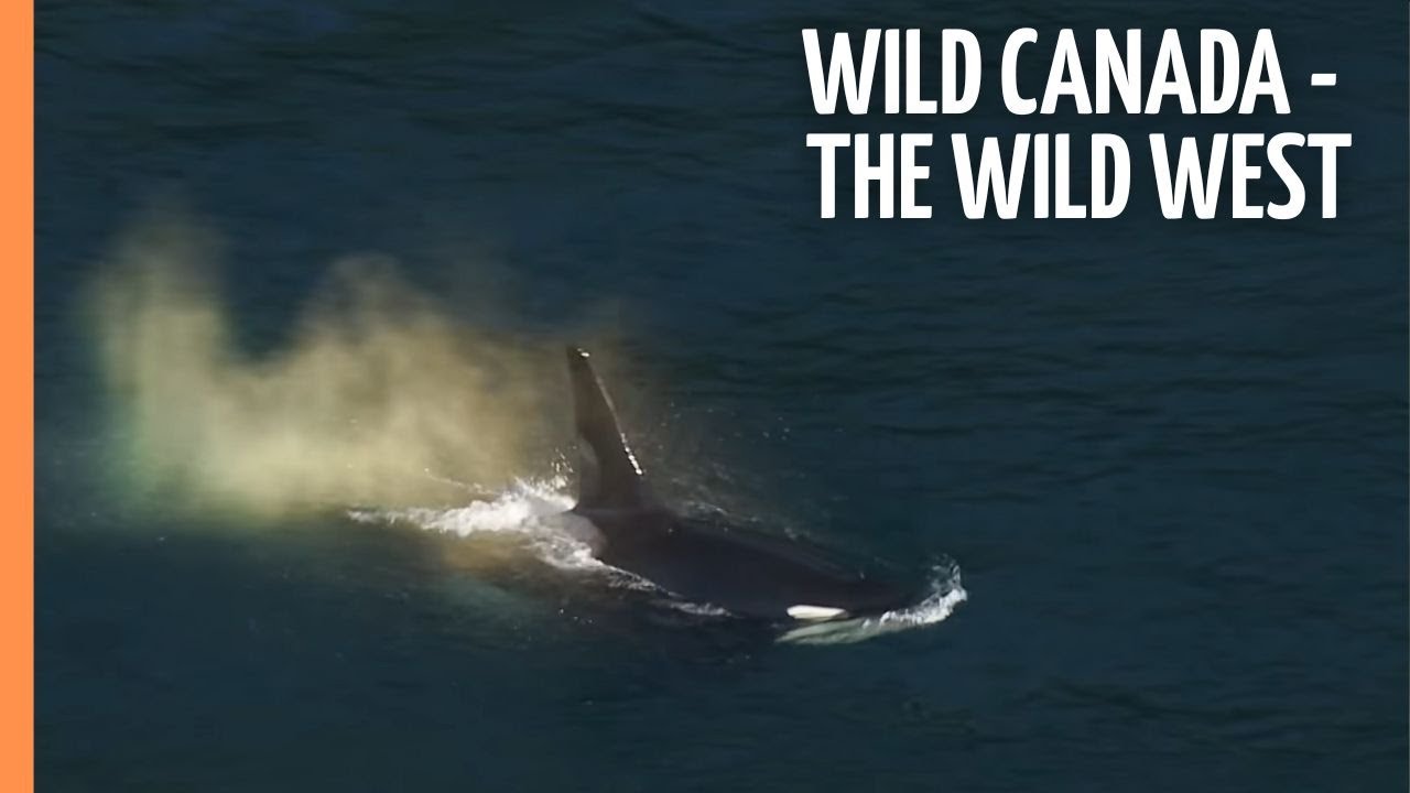 Wild Canada - The Wild West | Full Episode - YouTube