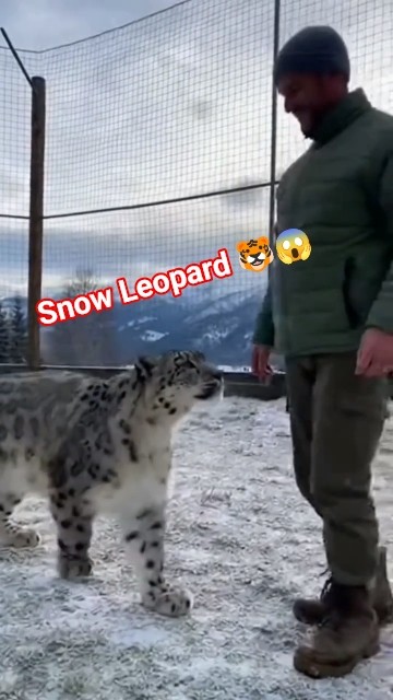 Man & Leopard — a bond you don’t see every day 🐆🤍#OnceInALifetime # ...