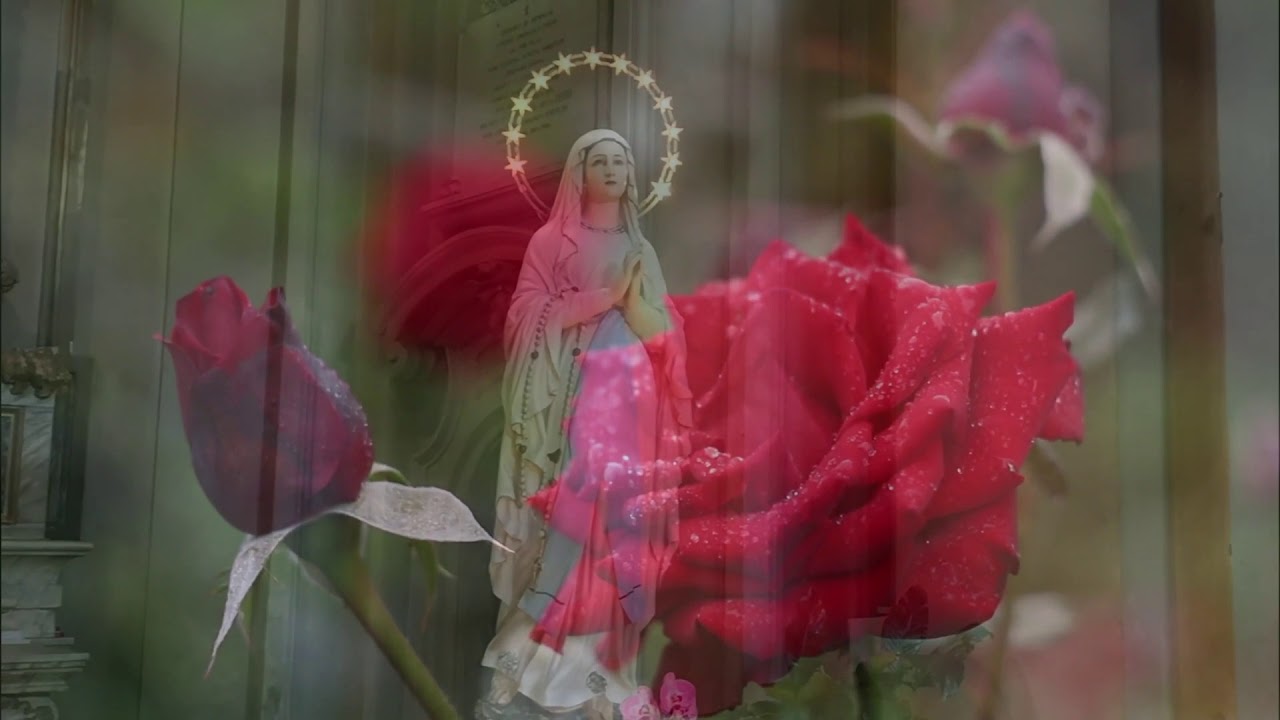 Lo, How A Rose E'er Blooming - YouTube