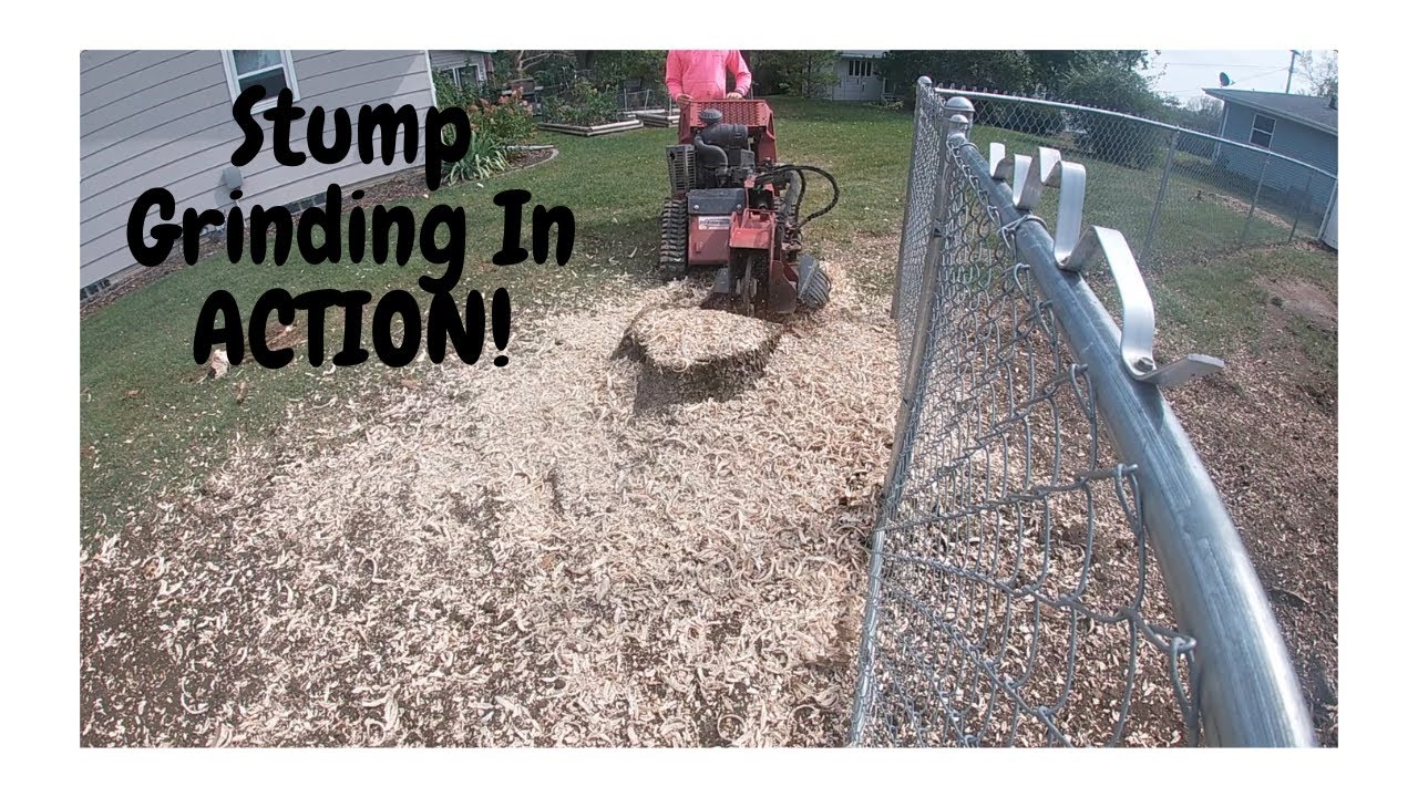Stump Grinding In ACTION! (Sub Contracting) - YouTube
