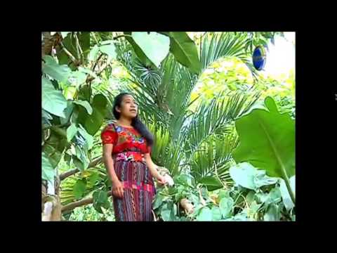 elizabeth gamez xicay vol 02 mil canciones - YouTube