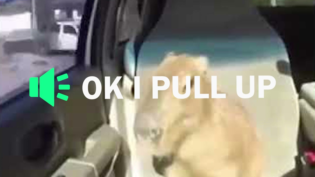 Ok I Pull Up 🔊 Meme Sound Effect Tik Tok Trend - YouTube