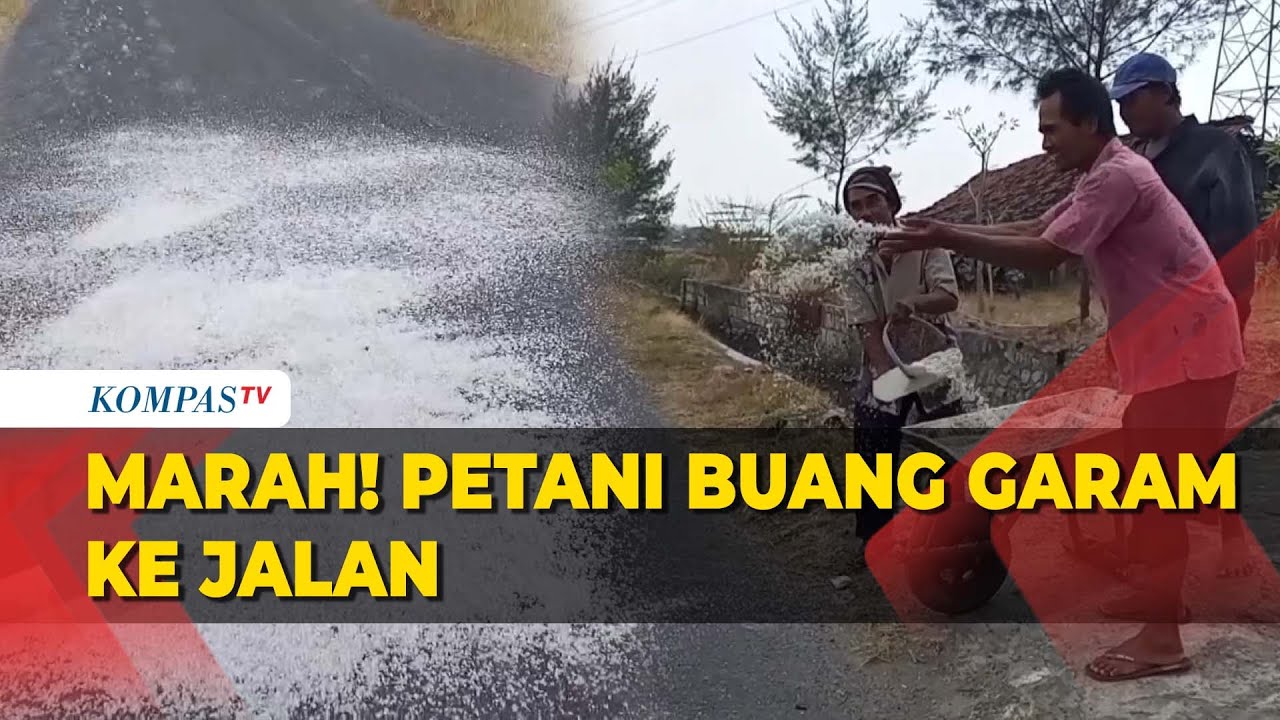 Frustrasi, Petani Garam di Rembang Buang Hasil Panen ke Jalanan! - YouTube