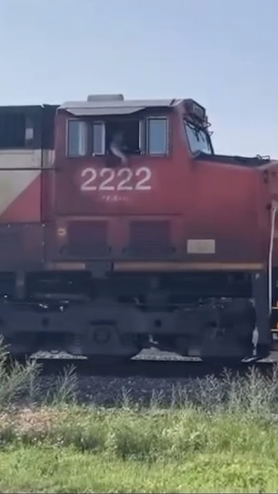 CN 2222 ES44DC Leads CN L531 At Unity Island Buffalo (International Railway Bridge) NY 6/29/24 ...