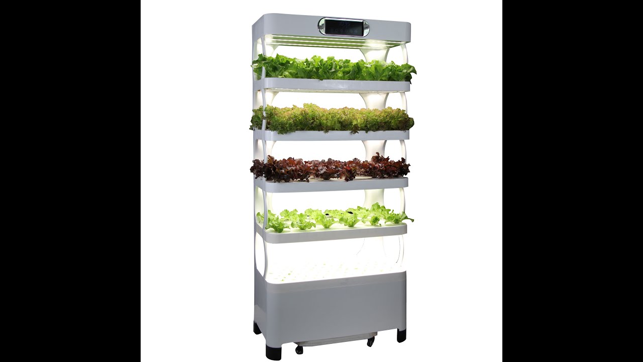 Intelligent Vertical Hydroponics Family indoor Farm System Model number ...