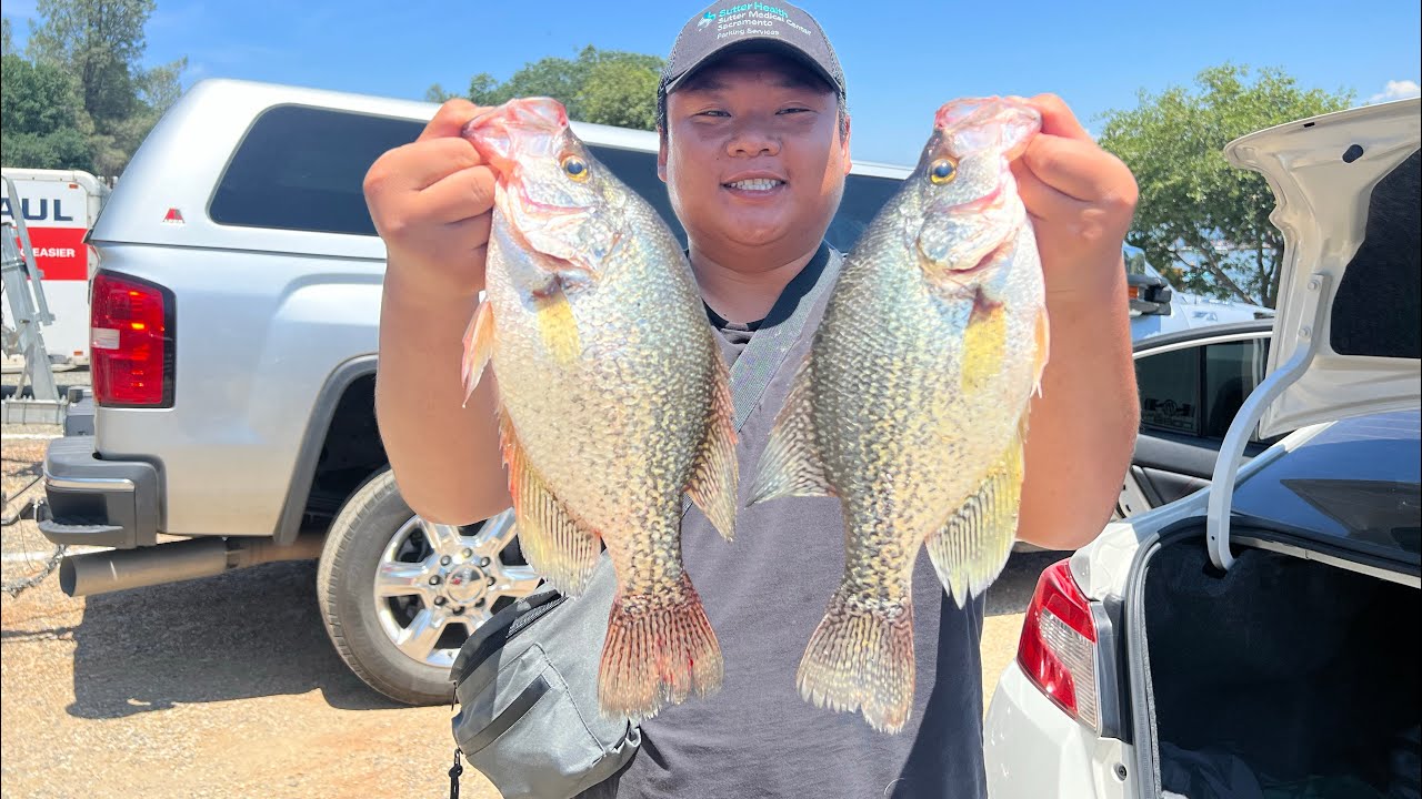 Multi-species fishing at Collins Lake! #california #panfishing #cousin ...