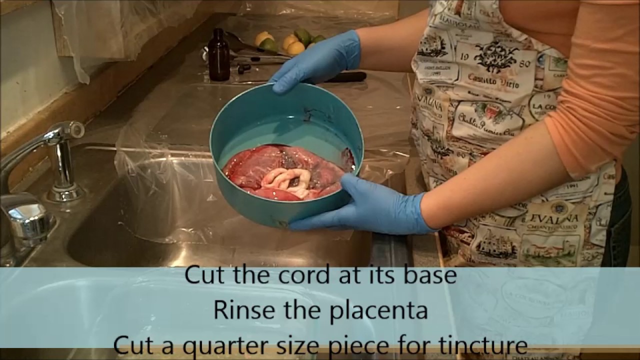 Raw Placenta Encapsulation Part 1 Of 2 Youtube