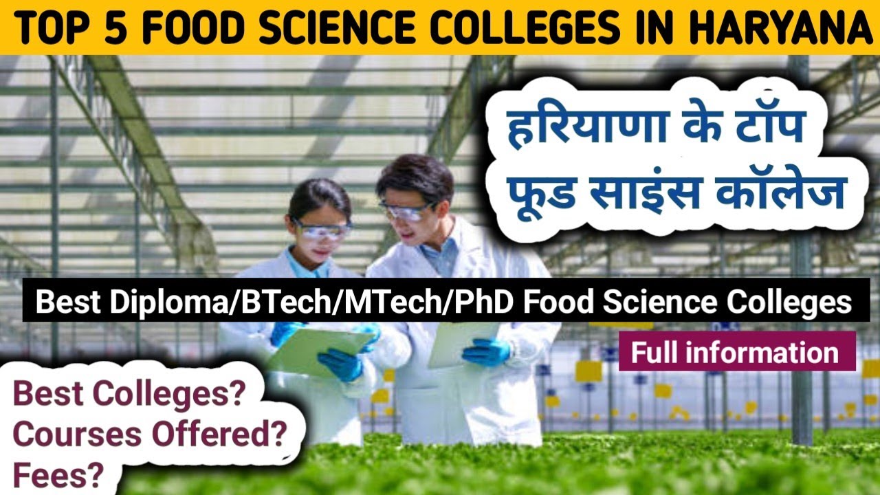 Top 5 Food Technology colleges in Haryana| Food Science colleges in ...