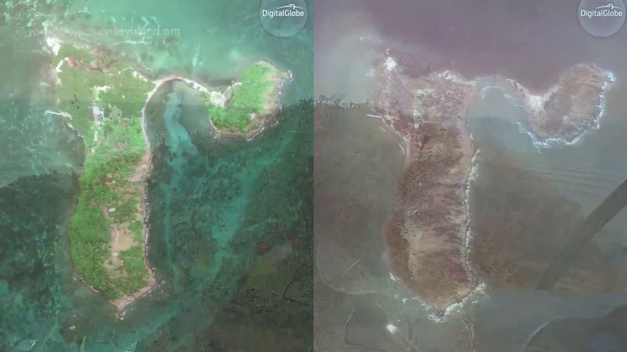 PROJECT MONKEY ISLAND: Helping Puerto Rico's Punta Santiago and Cayo ...