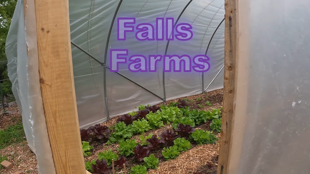 Falls Farms Intro - YouTube