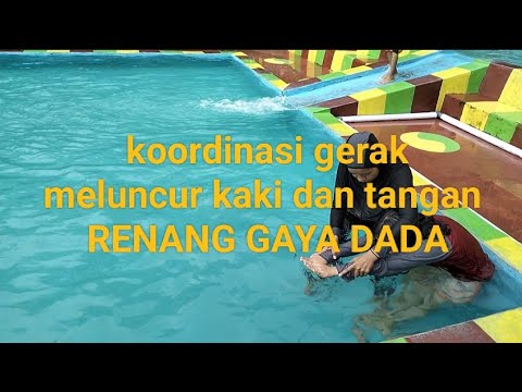 Program latihan renang (3) Koordinasi gerakan meluncur, kaki dan tangan ...