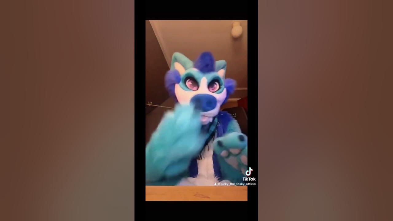 The Tappy Paws Once Again🤣 But With A Twist At The End🤪 Fursuit Furry