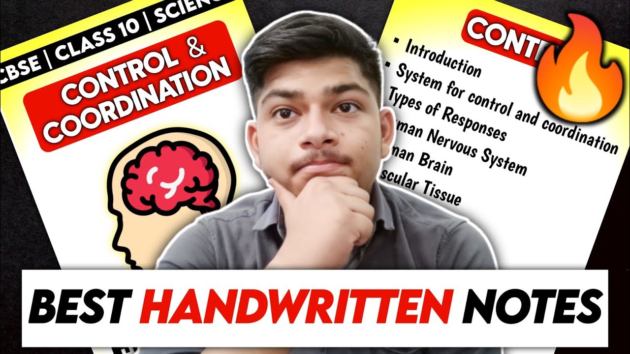Control and coordination class 10 notes 🔥 - YouTube