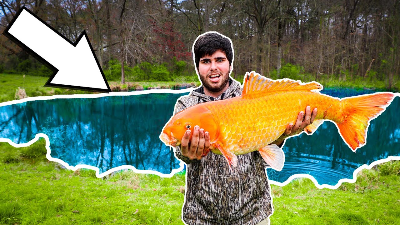 We Caught a $20,000 Fish IN A PUDDLE! - YouTube