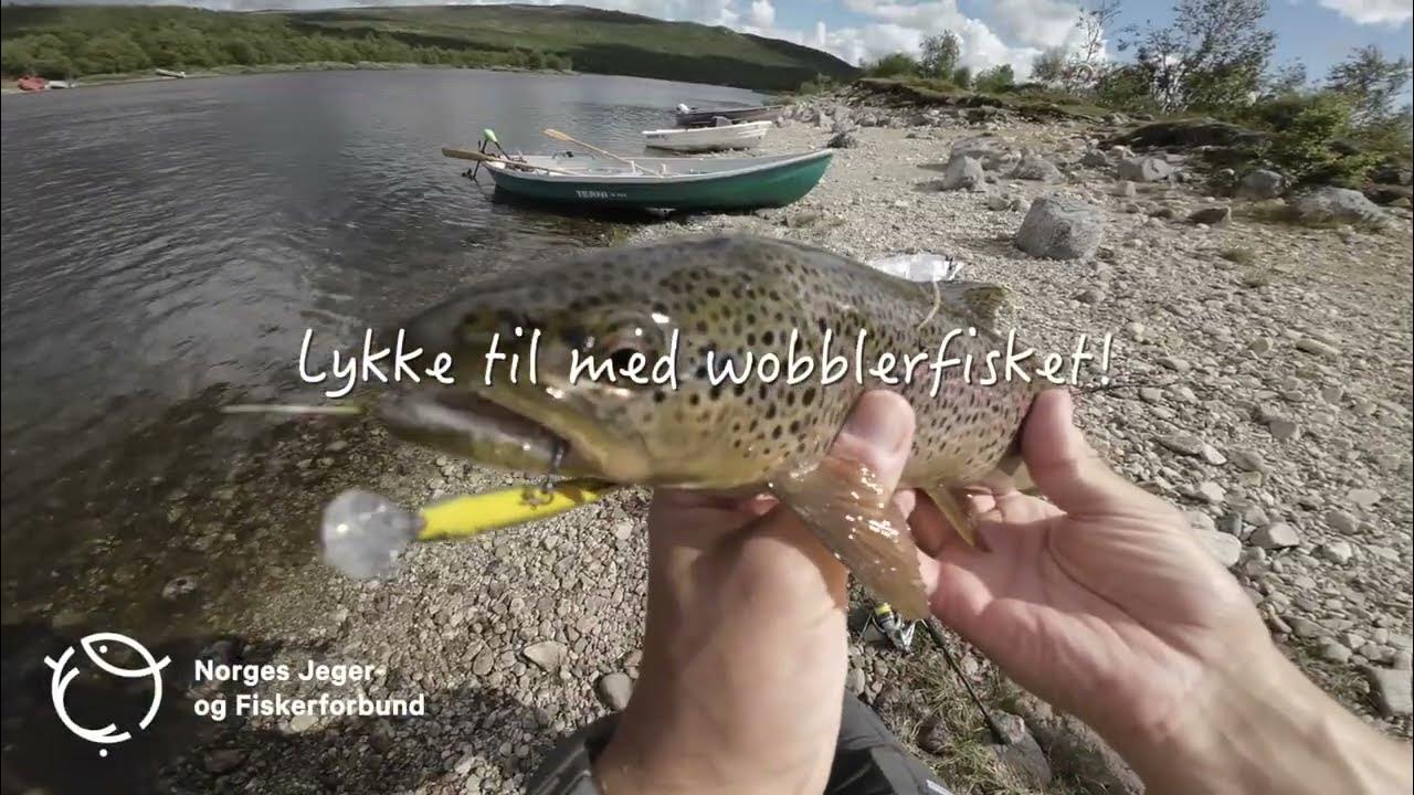 Hvordan fiske ørret med wobbler - YouTube