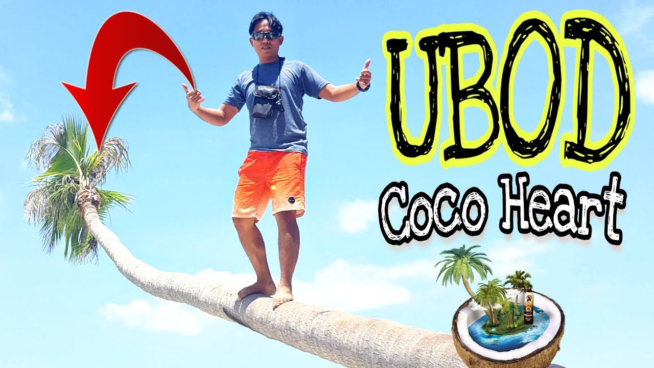 UBOD NG NIYOG | FRESH LUMPIA RECIPE | Milagrosa Nangka, Bayawan City ...