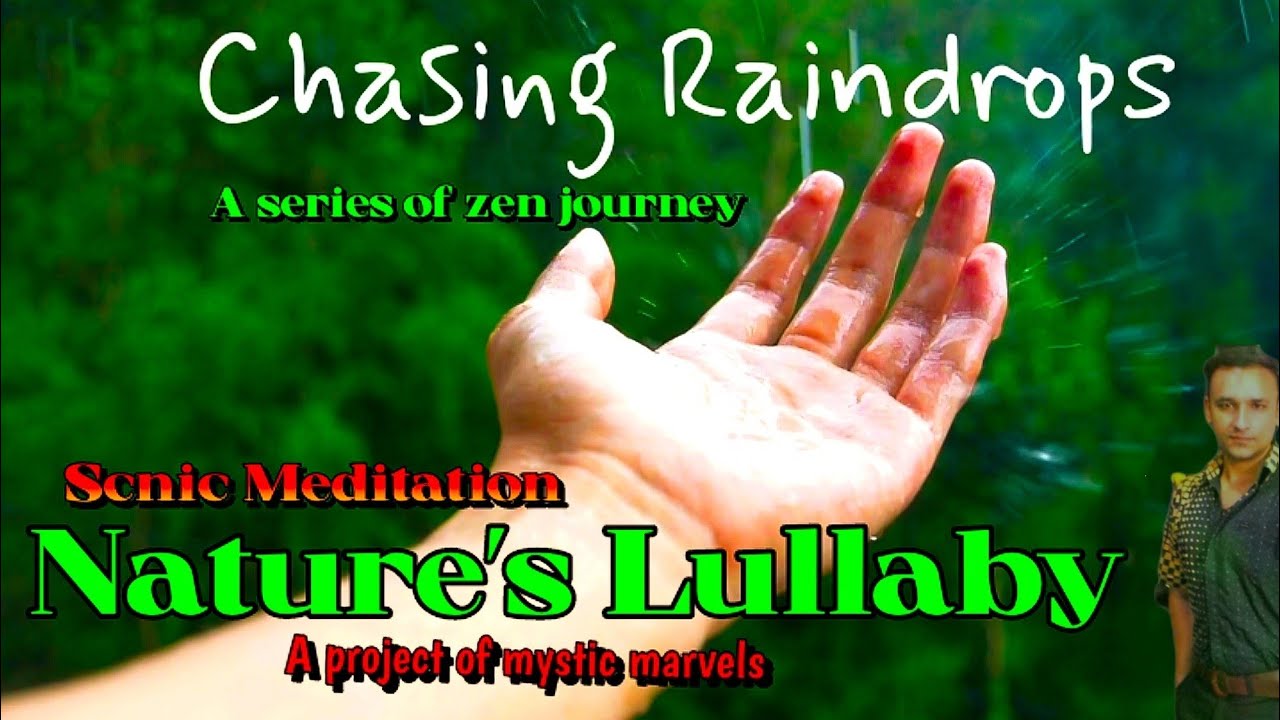 Nature's Lullaby:Chasing Raindrops - YouTube