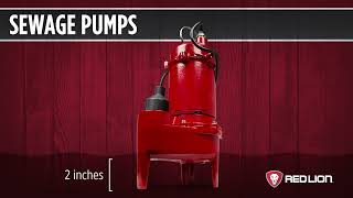 14942052 - Red Lion Pumps 14942052 - RLSP33PED 115V, 1/3 HP, 3300 GPH ...