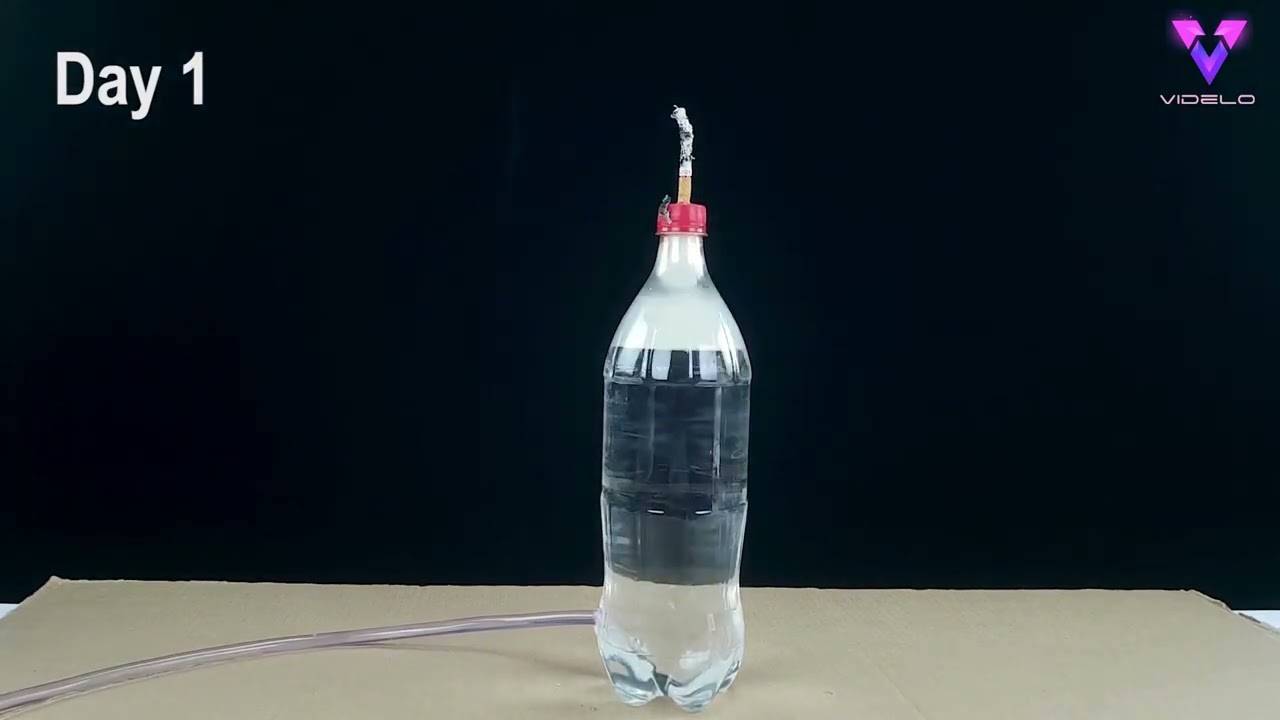 Este experimento muestra el efecto de fumar un cigarrillo al día durante un mes - YouTube