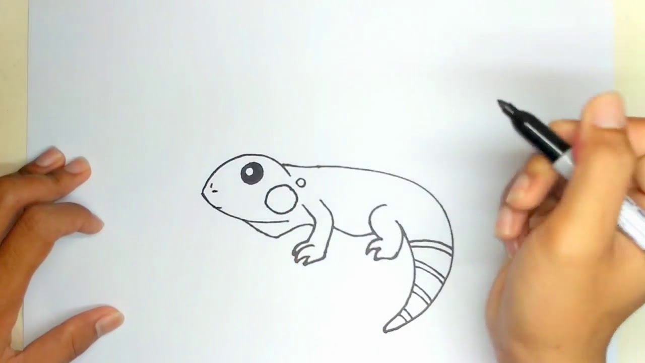 How To Draw Iguana Step By Step YouTube How To Draw Iguana Step By Step YouTube