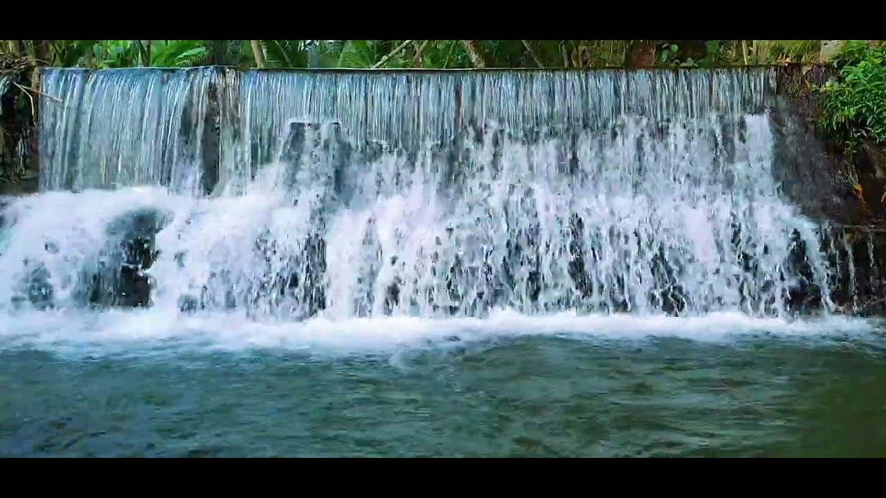 Clear Your Mind: Forest River & Waterfall for Breathing and Relaxation ...