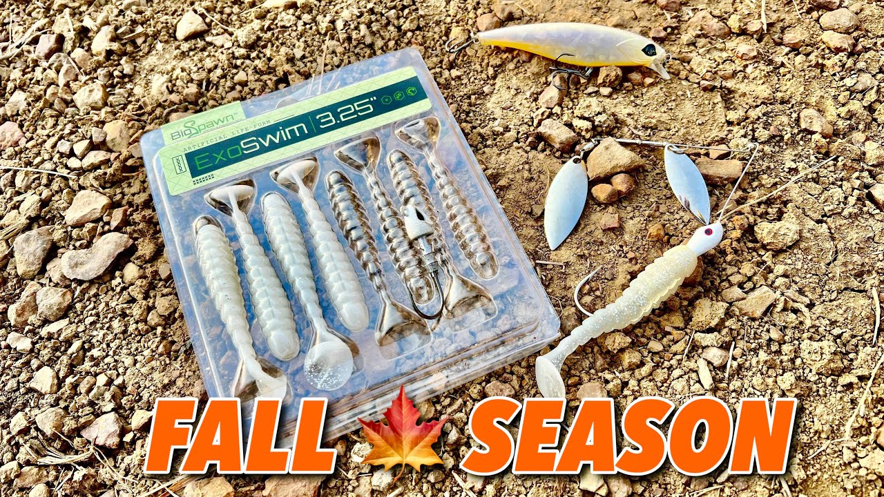 FALL BASS FISHING with THE 3 BEST FALL BAITS! (MULTIPLE FISH CAUGHT ...