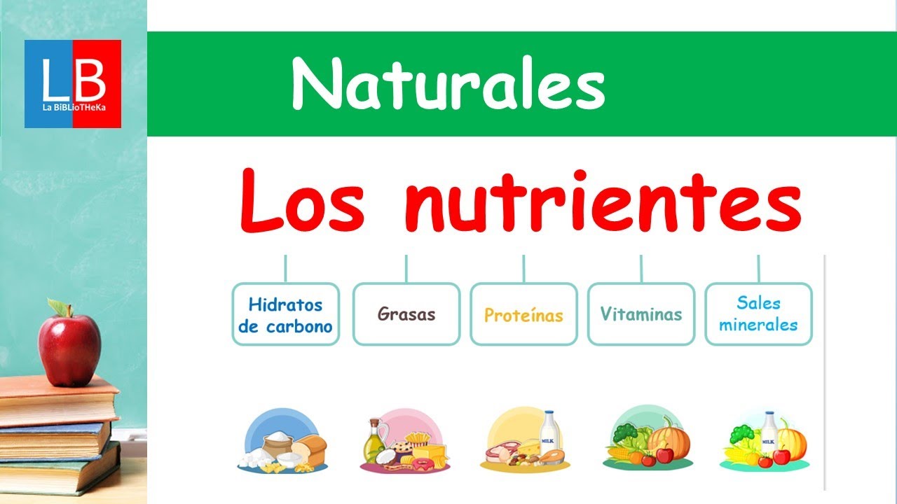 Los NUTRIENTES para niños 👩‍🏫 PRIMARIA - YouTube