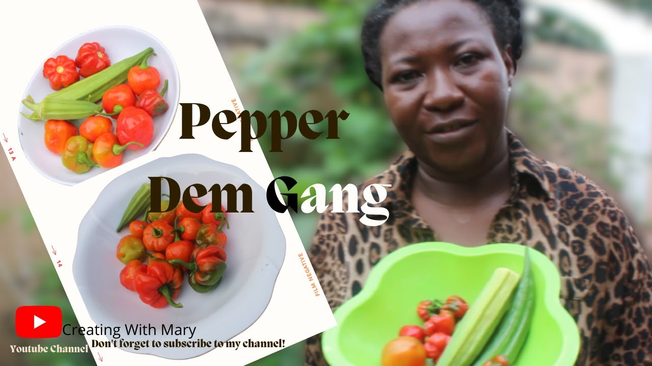 I Joined The Pepper Dem Gang - YouTube