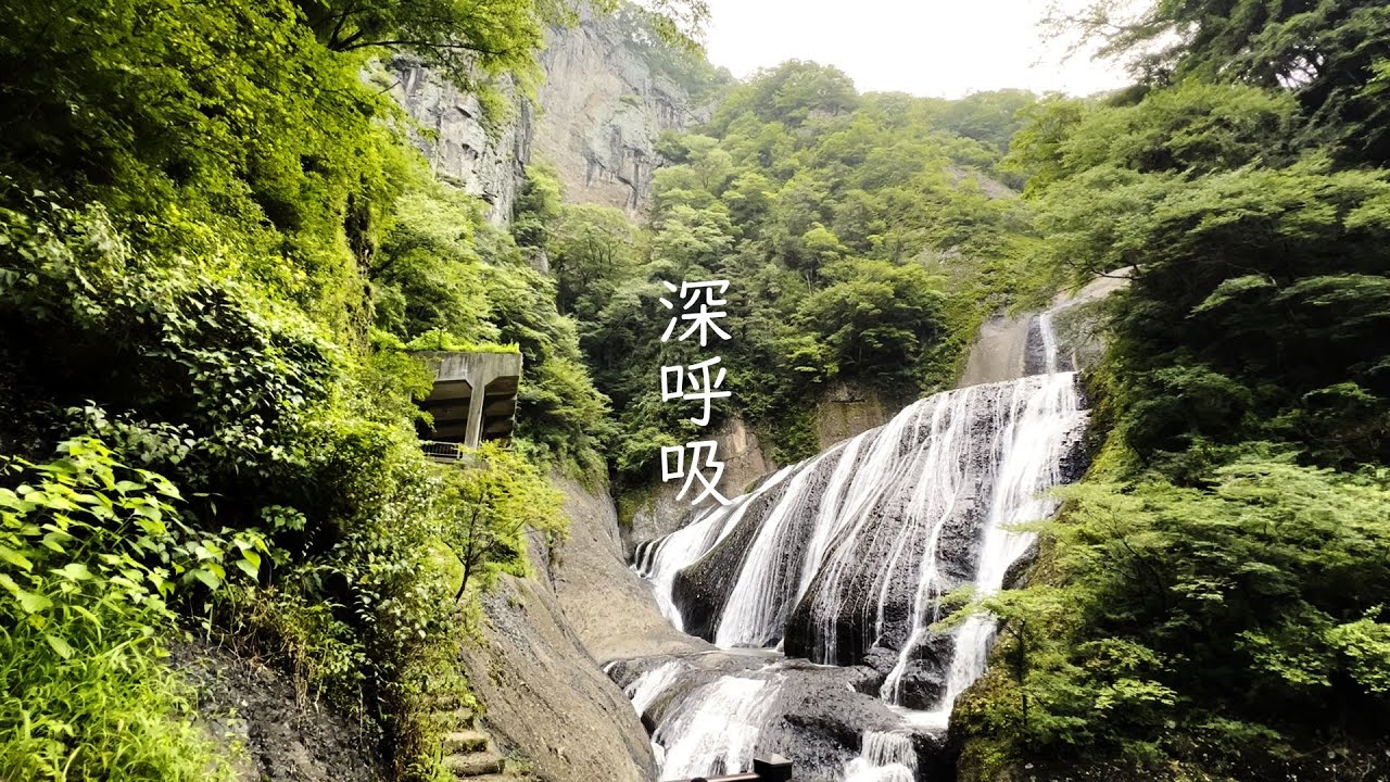 LOOP CHILD - 深呼吸（Official Video） - YouTube