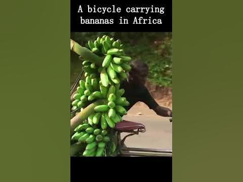 A bicycle carrying bananas. Instaphoto, live ,love - YouTube