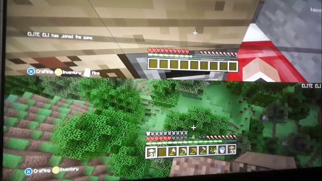 Strangest MINECRAFT glitch EVER - YouTube