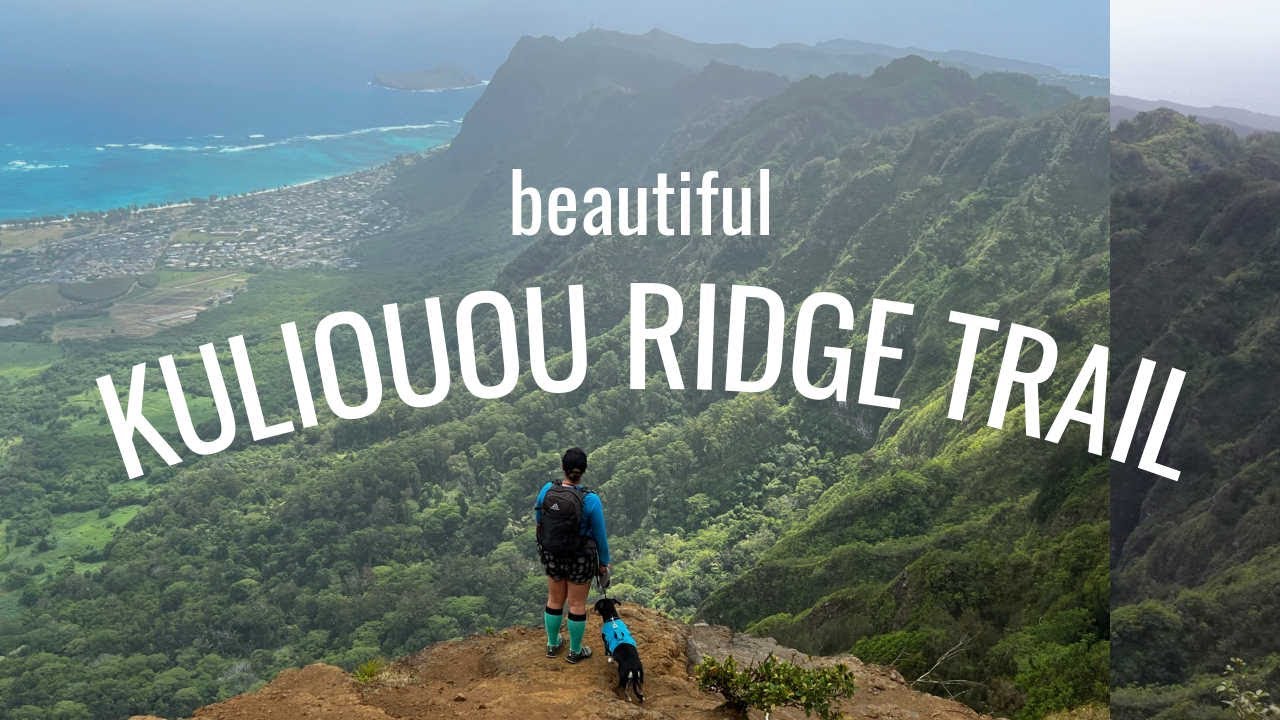 Top Oahu hike: Kuliouou Ridge Trail in Oahu Hawaii | Info - YouTube