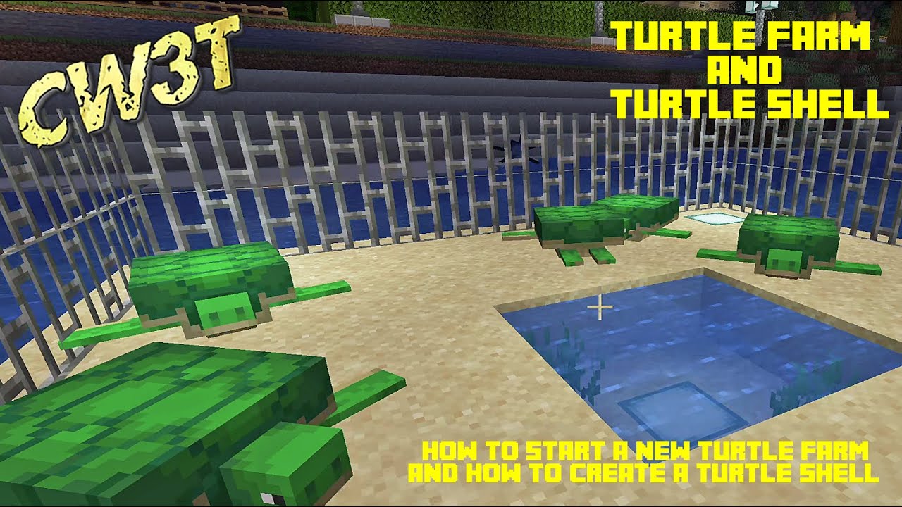 Minecraft - Turtle farm and Turtle shell helmet - YouTube
