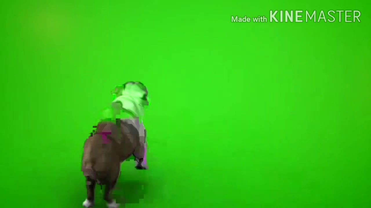 asdfghjklm - YouTube
