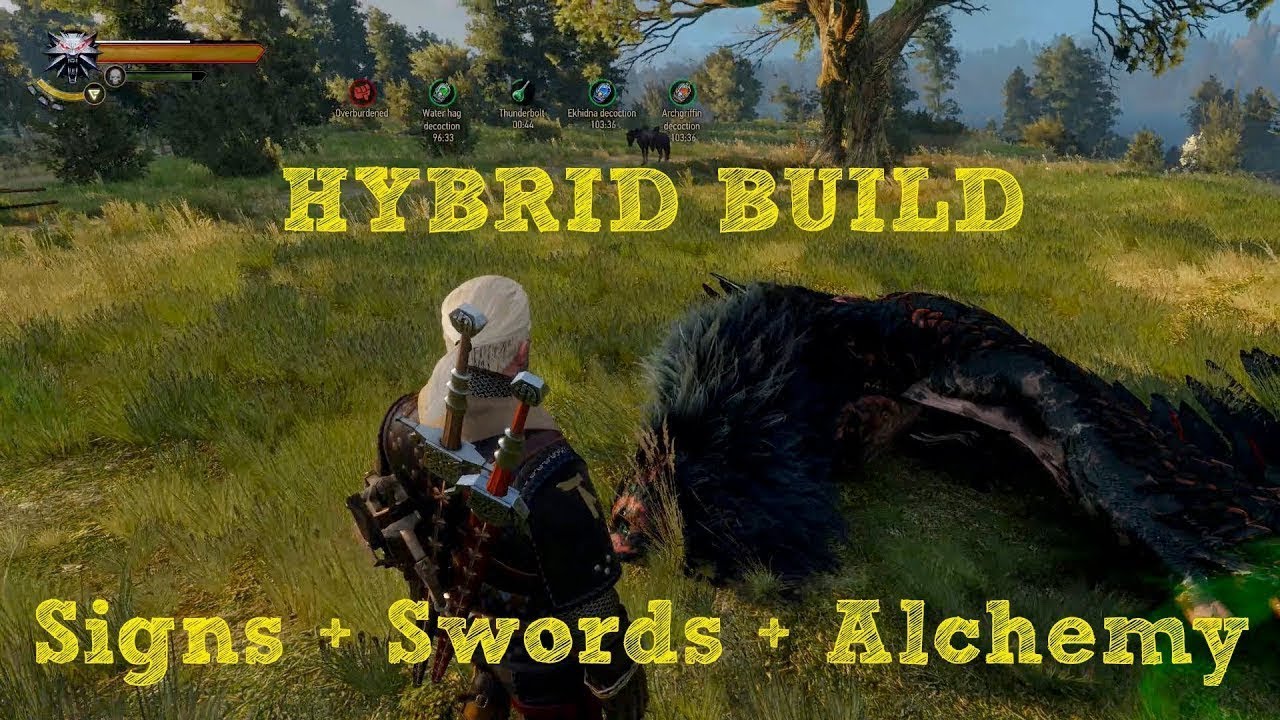 The Witcher 3: Hybrid Build v1 (Signs + Swords + Alchemy) - YouTube