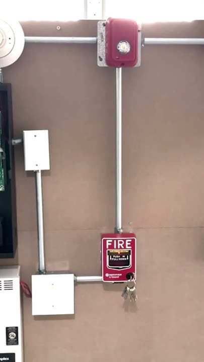 Sounding the L-Series LED Horn Strobes from System Sensor - YouTube