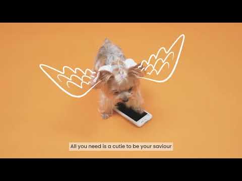 Go paperless with PAX A50 Android Mobile device - YouTube