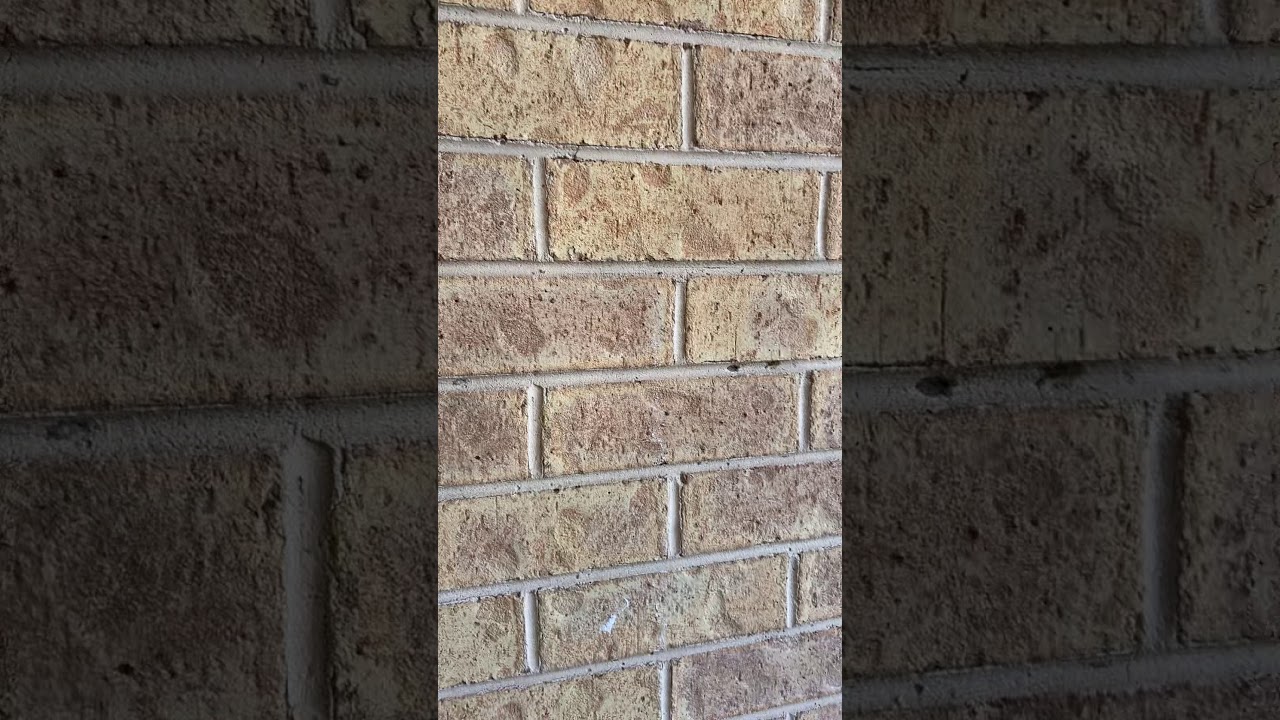 Brick wall smack - YouTube