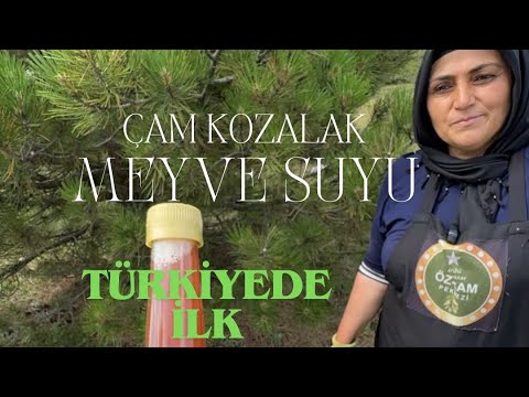 Hatice öz (Öz Çam Pekmezi) Eskipazar