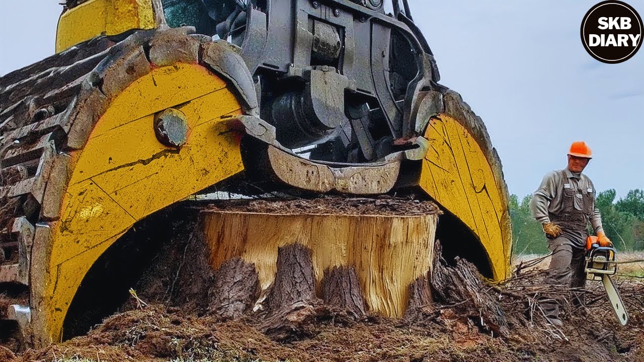 Forestry Wood Machine Technology That Has Full Power Ep-6 - YouTube