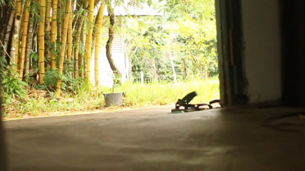 Michael Libby Live Stream - YouTube