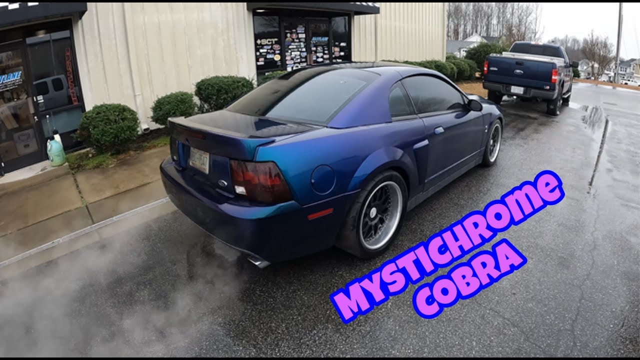 2004 Mystichrome Terminator Cobra in for repair - Fastlane Motorsports ...