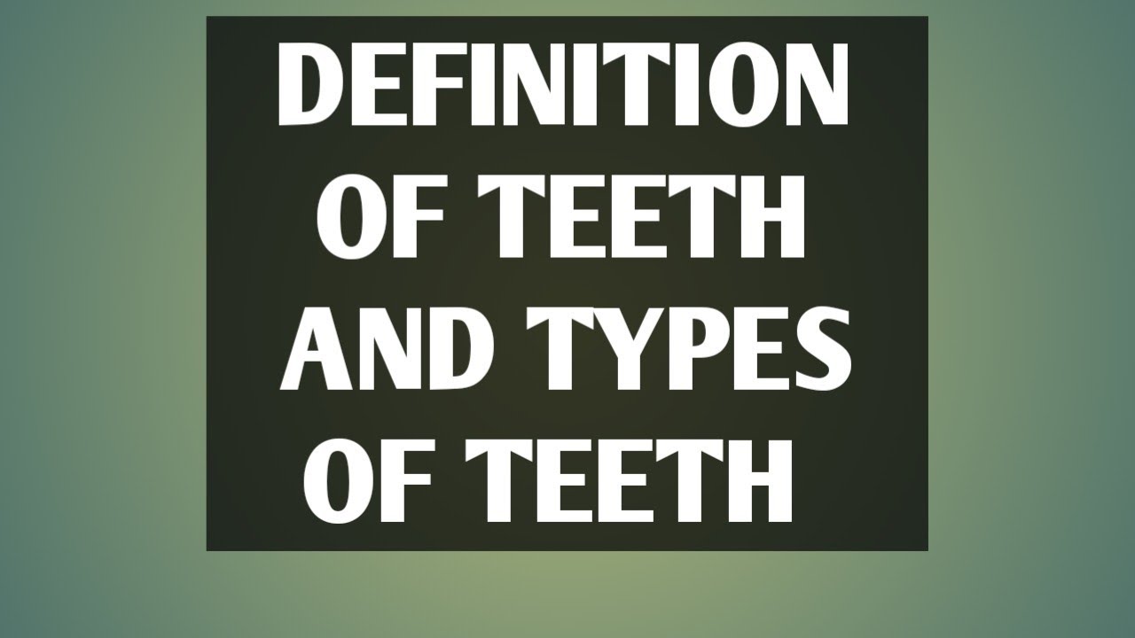 DEFINITION OF TEETH AND TYPES OF TEETH ll TYPES OF TEETH AND THEIR ...